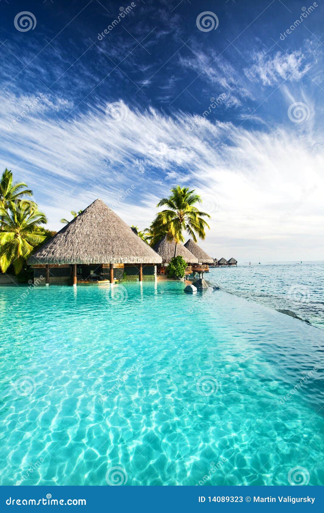 Infinity Pool with Palms and Tropical Ocean Stock Image - Image of ...
