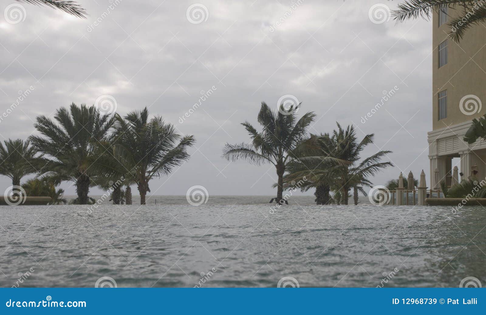 Infinity Pool at a Resort on Clearwater Beach, Flo Stock Image - Image ...