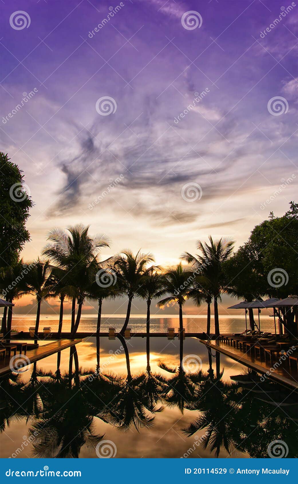 Infinity Pool sunrise stock image. Image of resort, reflection - 20114529