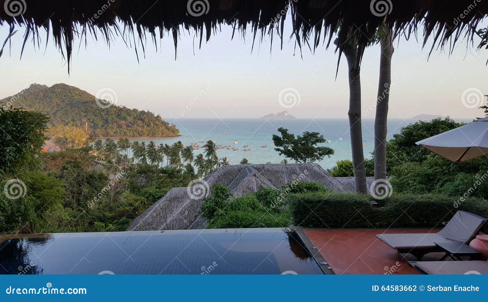 Infinity Pool on Tropical Beach Stock Photo - Image of coastal, tree ...