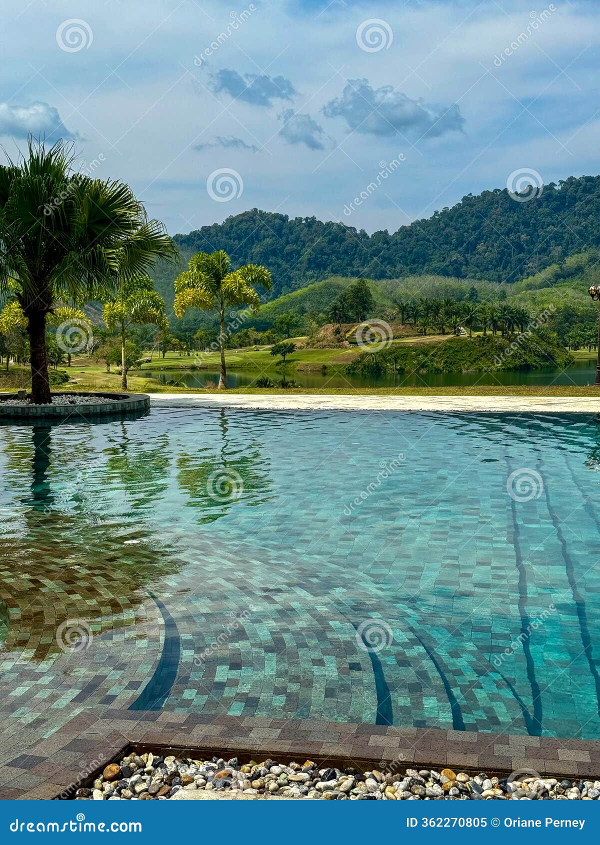 Infinity Pool with a View of a Tropical Landscape 3 Stock Image - Image ...