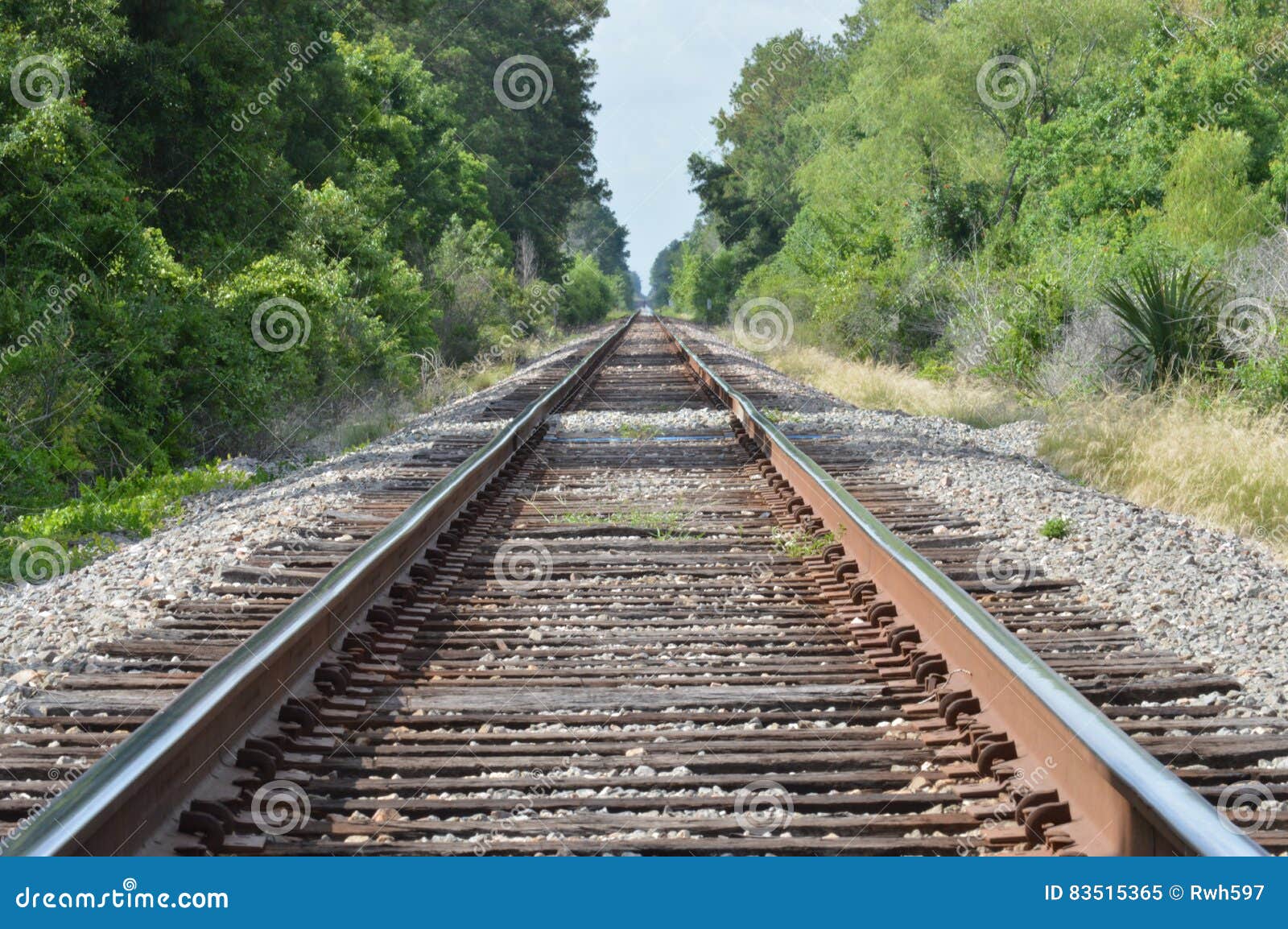 Infinity railroad tracks stock image. Image of ties, steel - 83515365