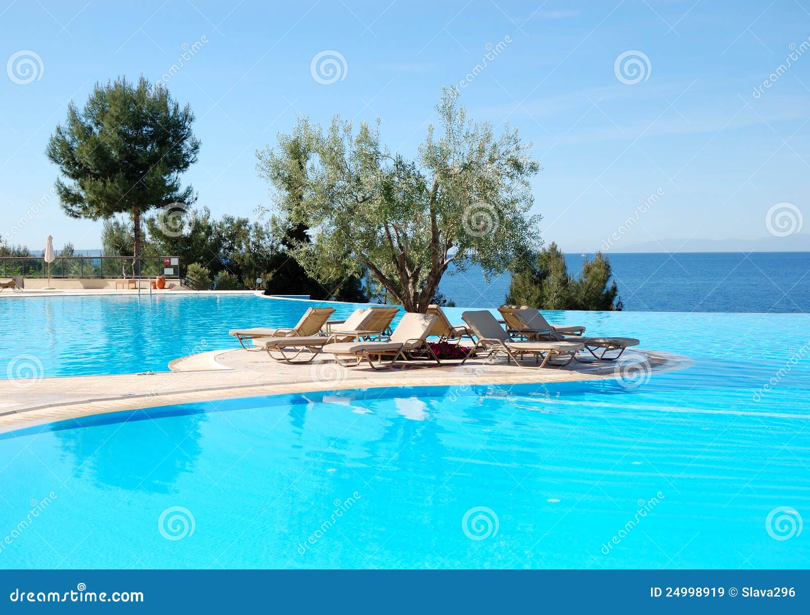 Infinity Swimming Pool with Olive Tree Stock Image - Image of holiday ...