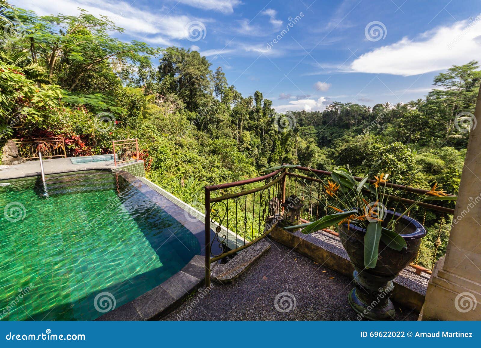 Infinity Swimming Pool Over Looking Peaceful Forest Stock Photo - Image ...