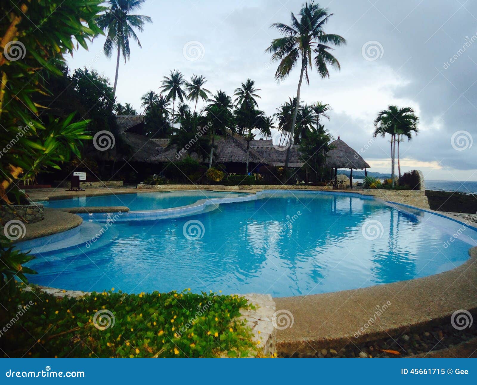 Infinity Swimming Pool stock image. Image of beach, swimming - 45661715