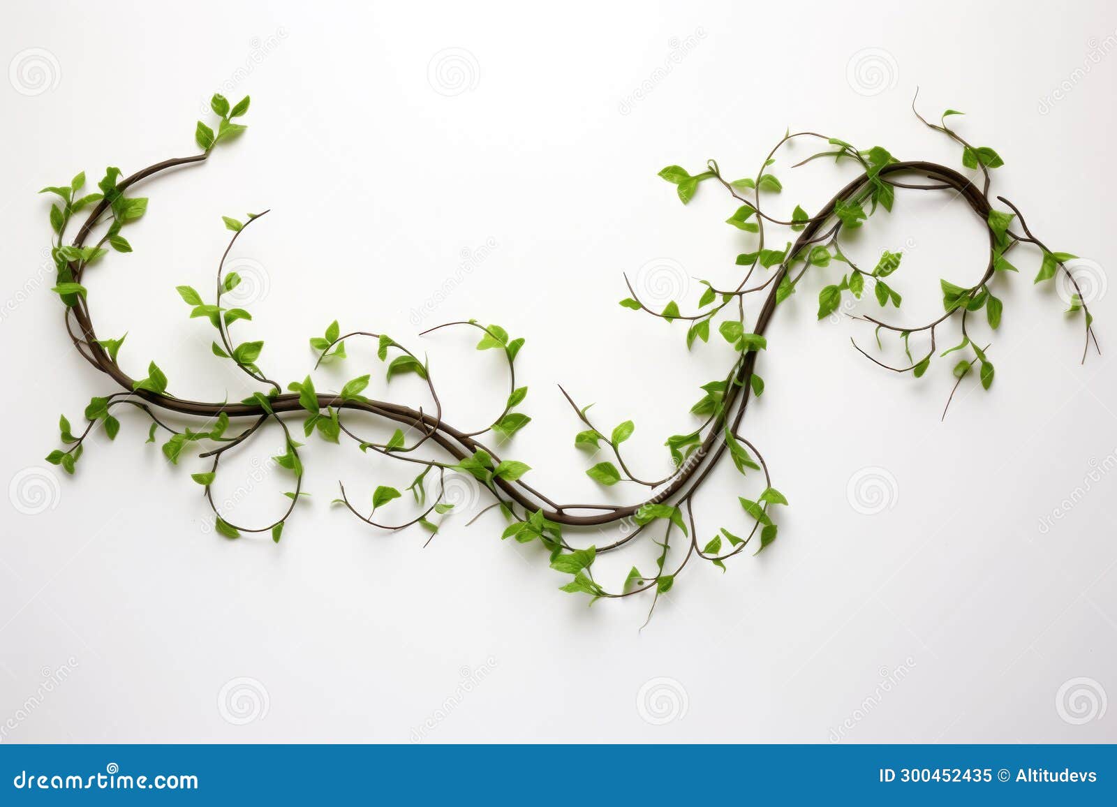An Infinity Symbol Made from Intertwined Green Vines on a White Wall ...