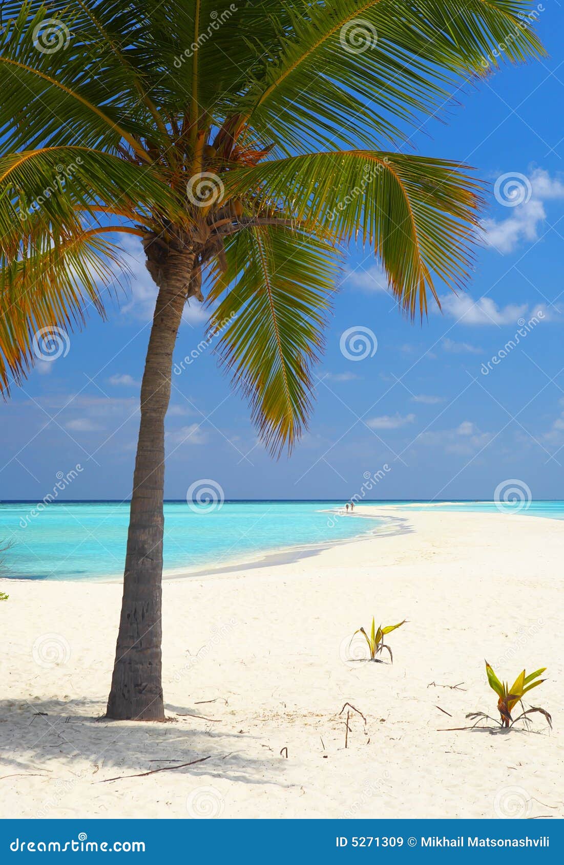 Infinity tropical beach stock image. Image of blue, coast - 5271309
