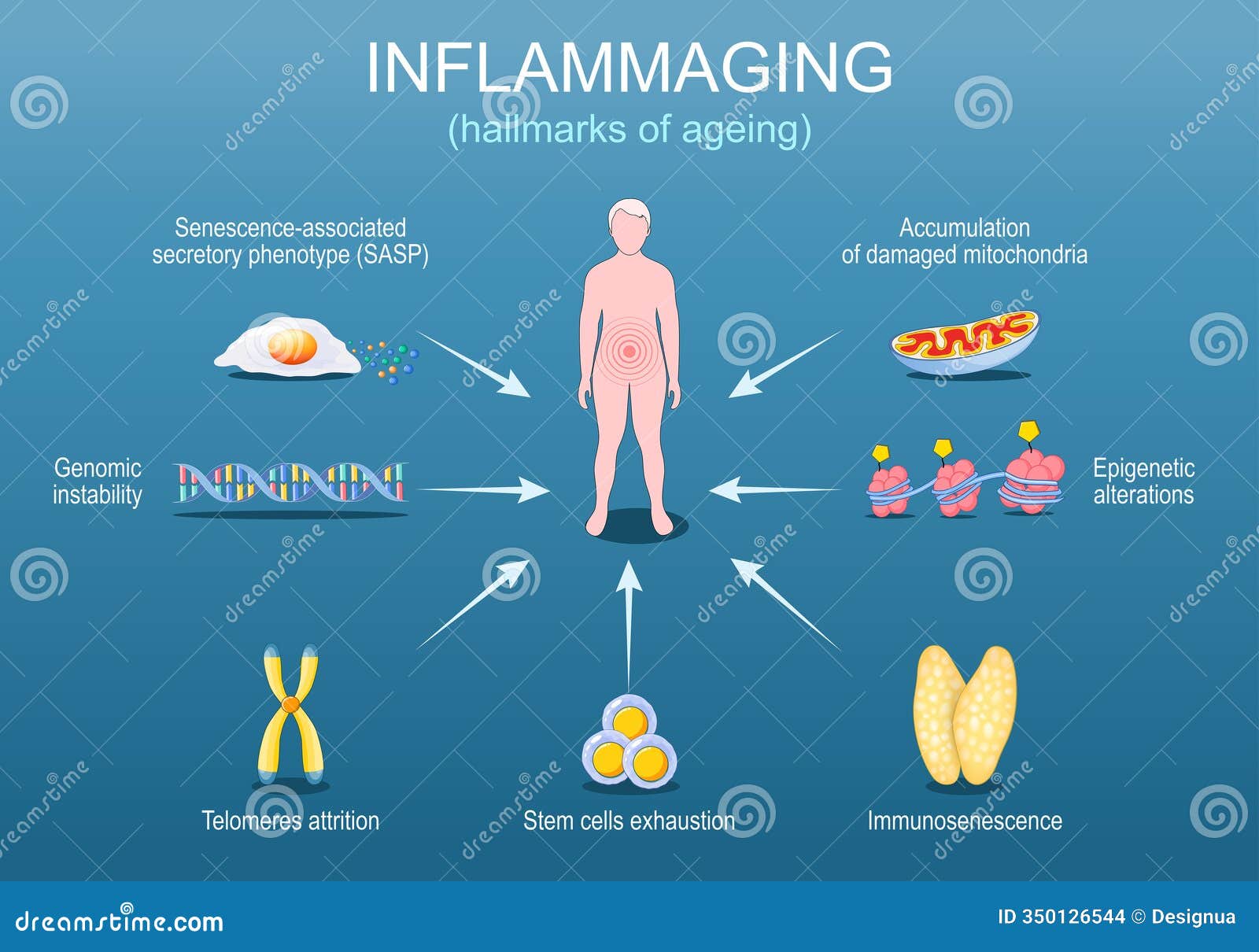 Chronic Inflammation Stock Image | CartoonDealer.com #85625629