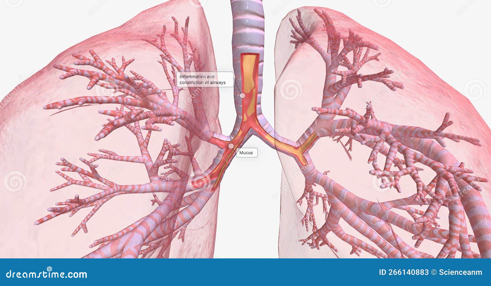 Constriction Cartoons, Illustrations & Vector Stock Images - 351 ...