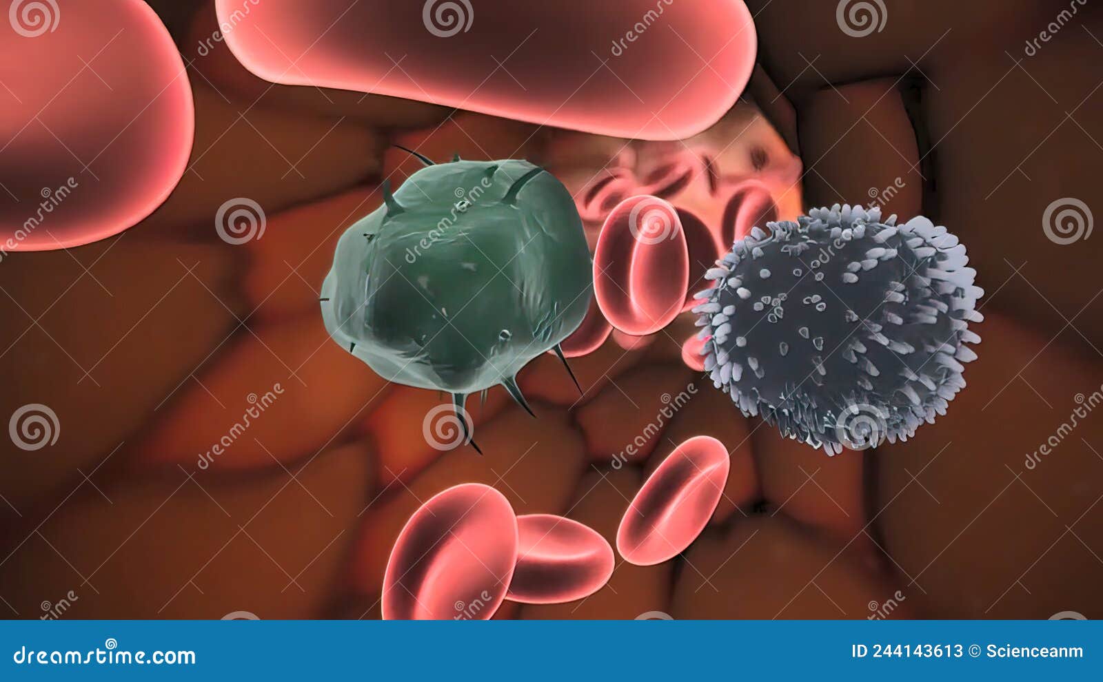 Inflammatory Cytokines and Antigen Presenting Cell Activation Stock ...