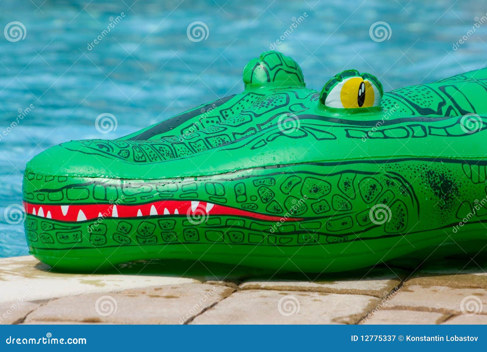 Inflatable alligator toy stock image. Image of pool, summer - 12775337