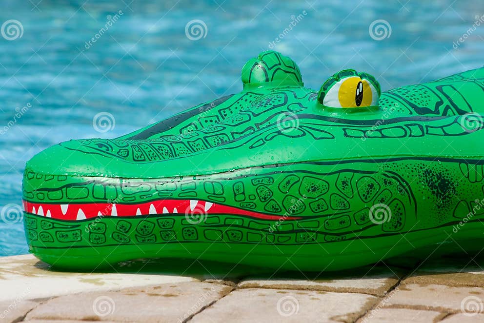 Inflatable alligator toy stock image. Image of pool, summer - 12775337
