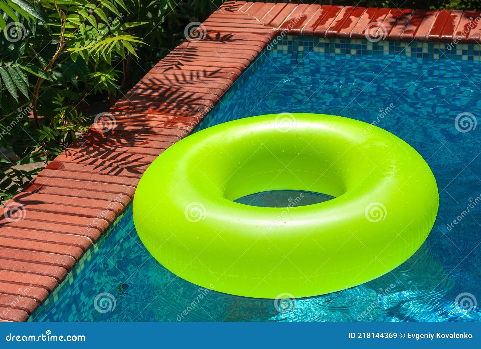 Inflatable Circle in the Pool Stock Image - Image of beach, inflatable ...