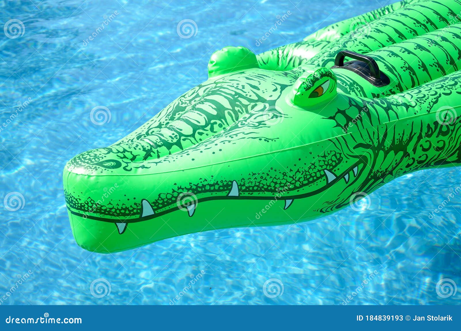 Inflatable Crocodile in the Pool Stock Image - Image of toys, pool ...