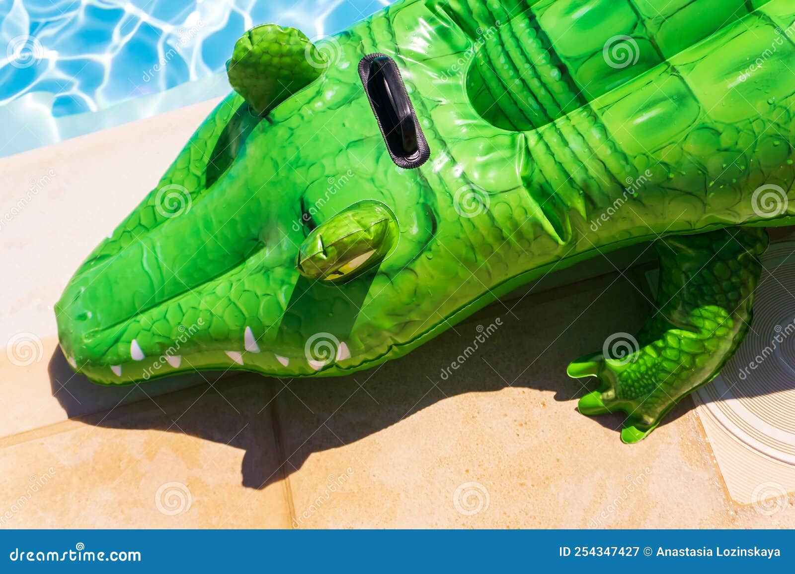 Inflatable Crocodile on the Side of the Pool on a Sunny Day Stock Image ...