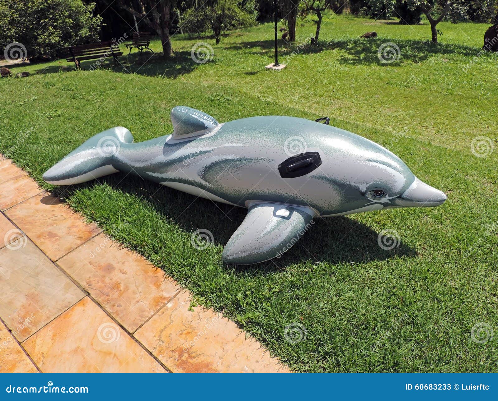 Inflatable dolphin stock image. Image of dolphin, inflatable - 60683233