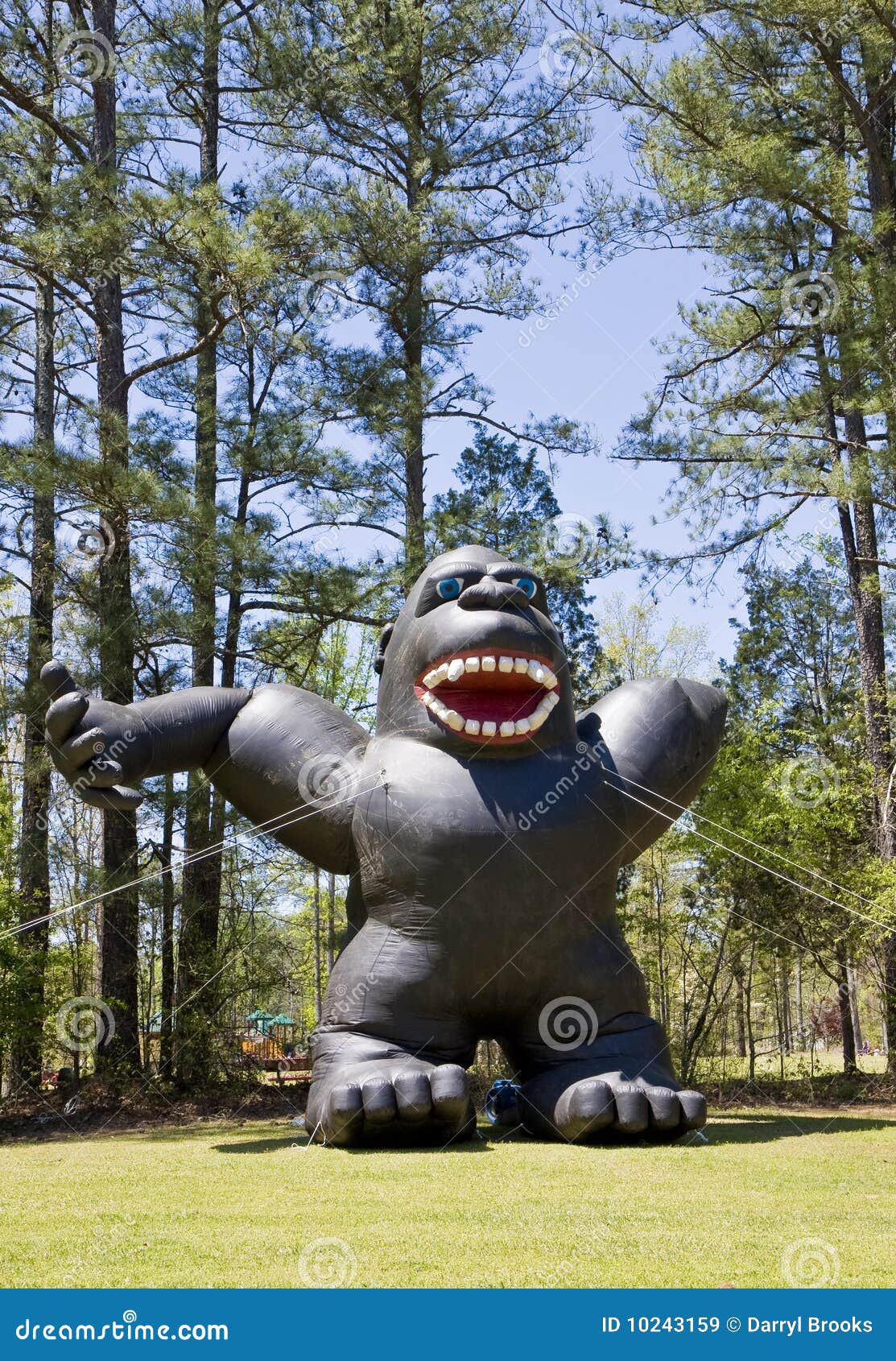 Inflatable Gorilla stock image. Image of attention, inflated - 10243159