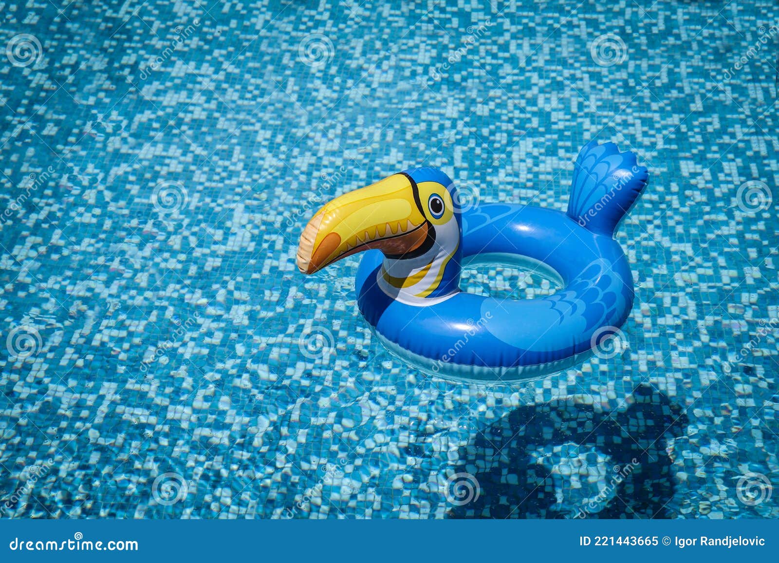 Inflatable Pelican Pool Toy in Empty Pool. Stock Image - Image of side ...