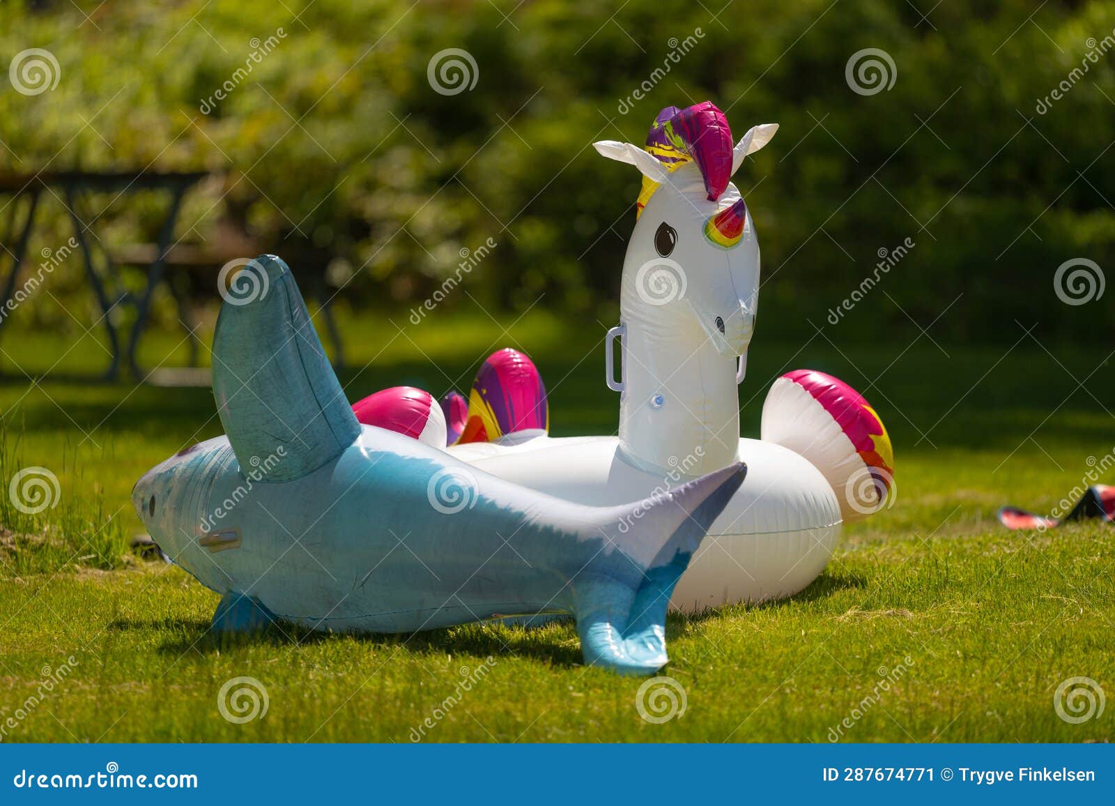 Inflatable Rafts Shaped As a Unicorn and a Shark on Grass.. Stock Image ...