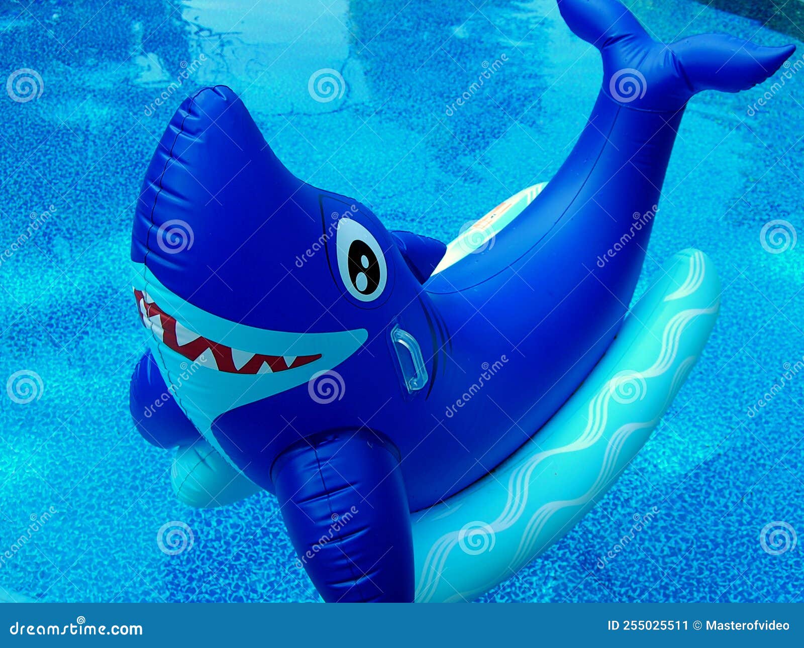 Inflatable shark stock image. Image of animal, screenshot - 255025511