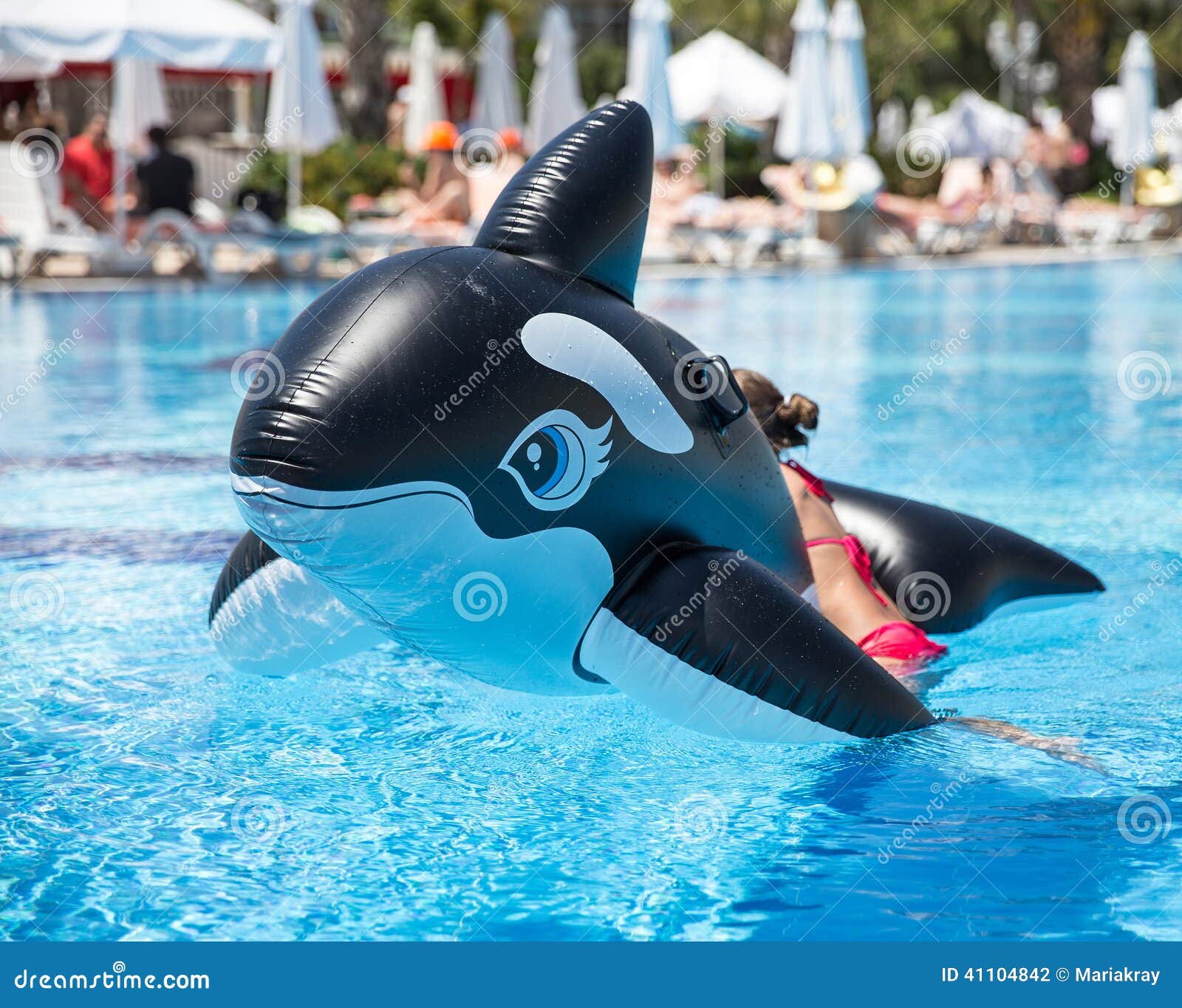 Whale In Swimming Pool