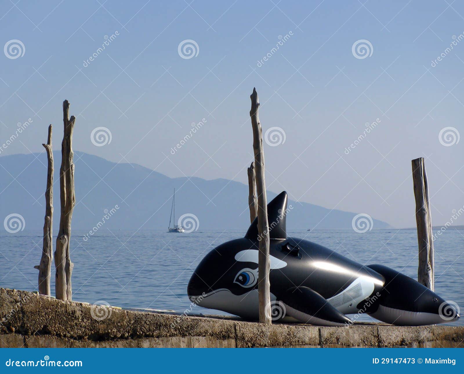 Inflatable Whale Resting Near Sea Stock Image - Image of coast, orca ...