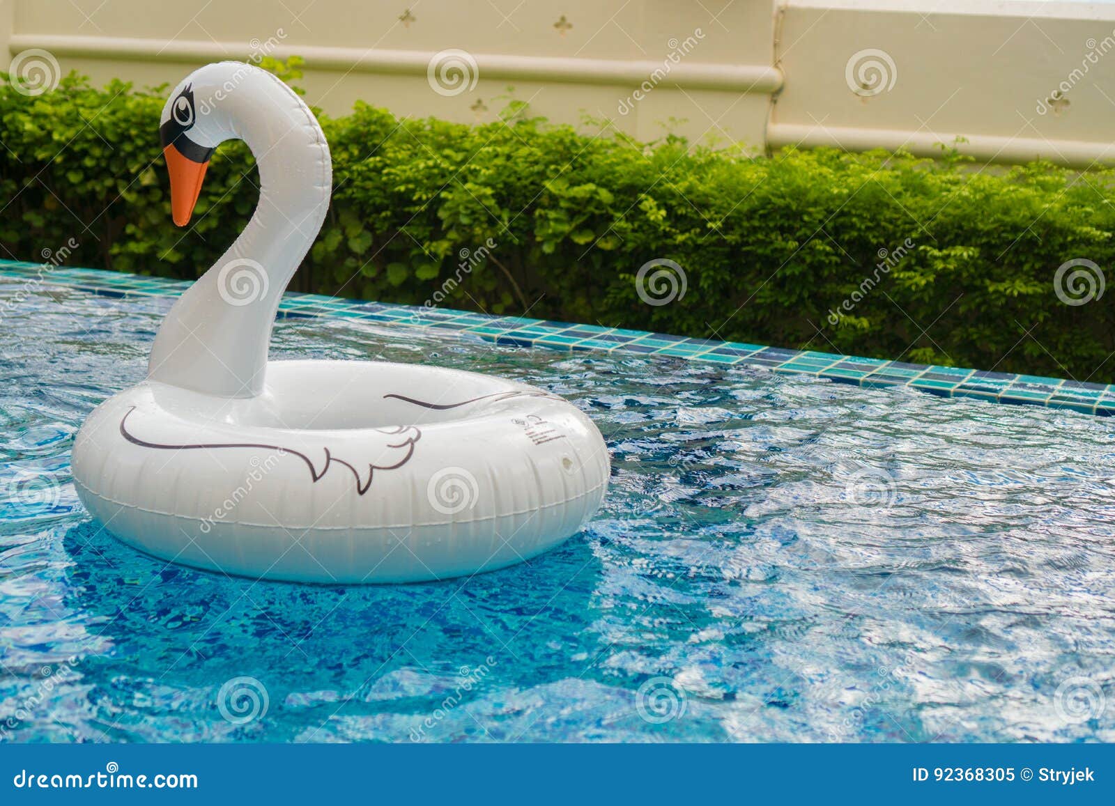 Inflatable White Swan in the Pool Stock Image - Image of plastic ...
