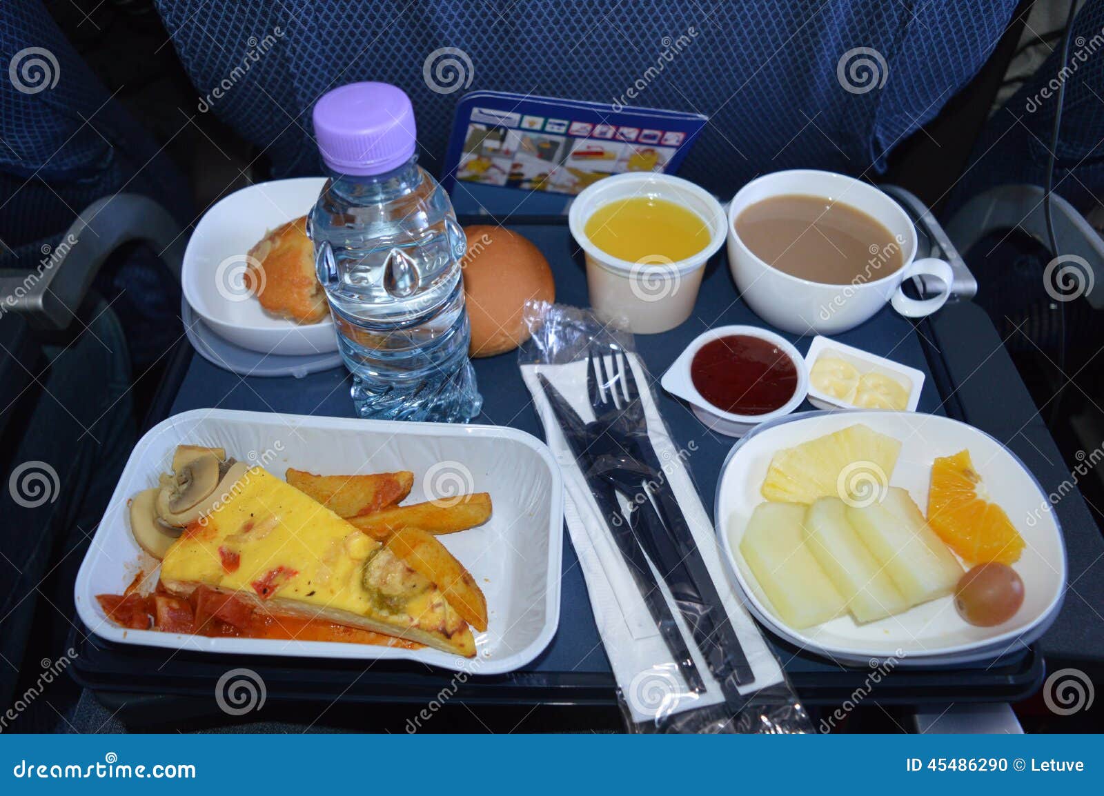 Inflight Airline Meal Economy Class Sweet And Sour Fish And Fried Rice ...
