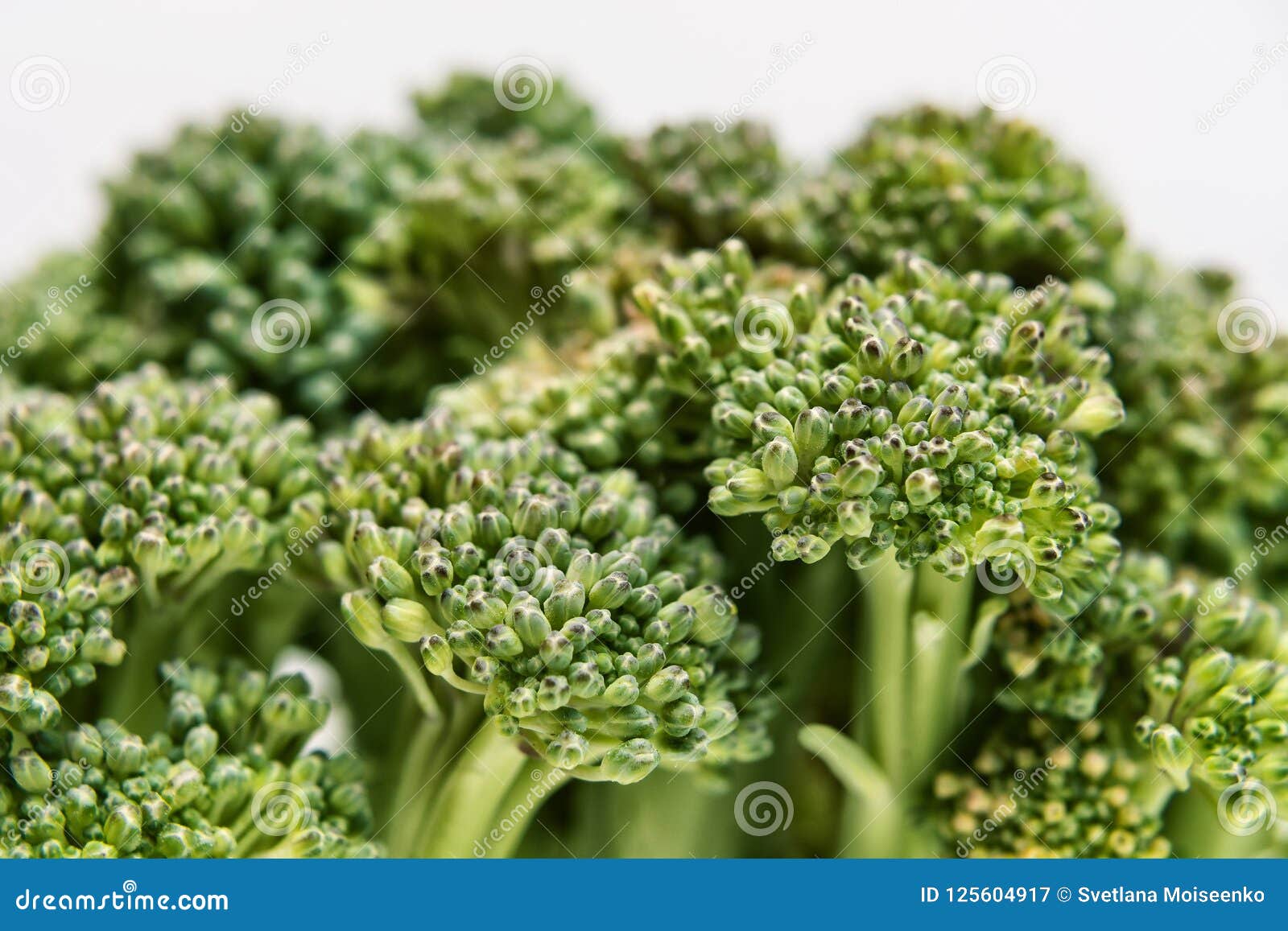 Inflorescence of Green Broccoli Close, Selective Focus Stock Image ...
