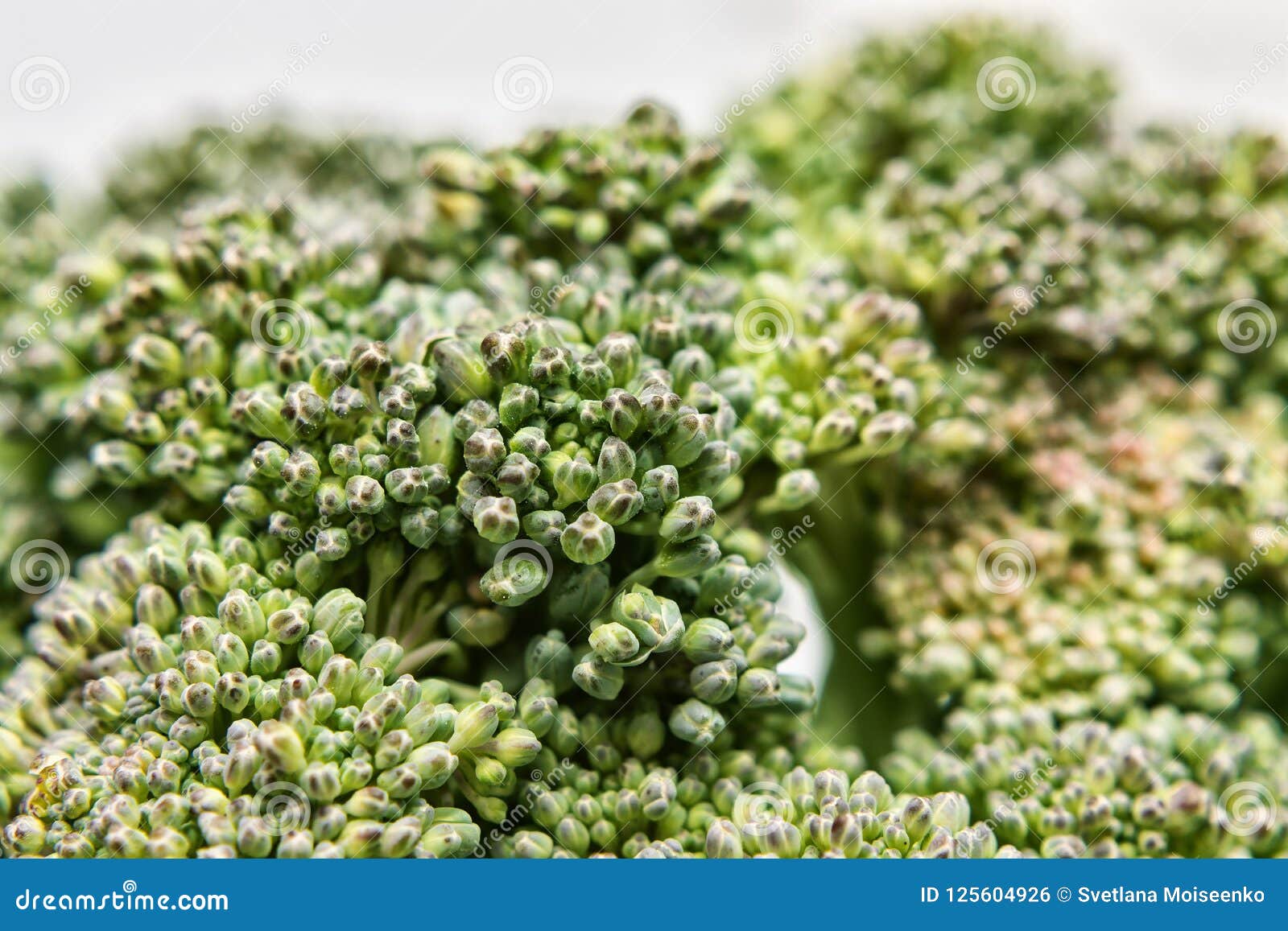 Inflorescence of Green Broccoli Close, Selective Focus Stock Photo ...
