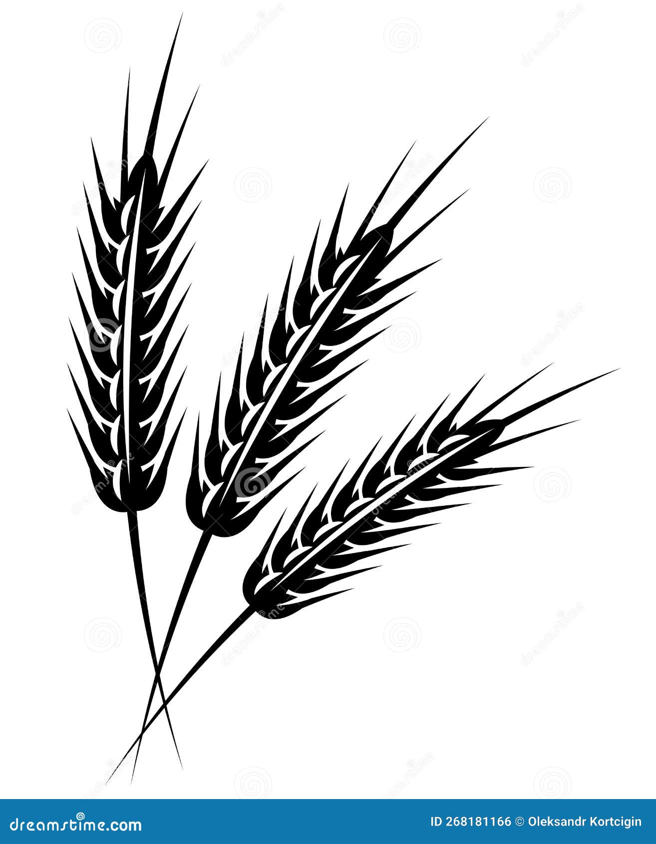 Inflorescence of Three Spikelets. Vector Monochrome Illustration Stock ...