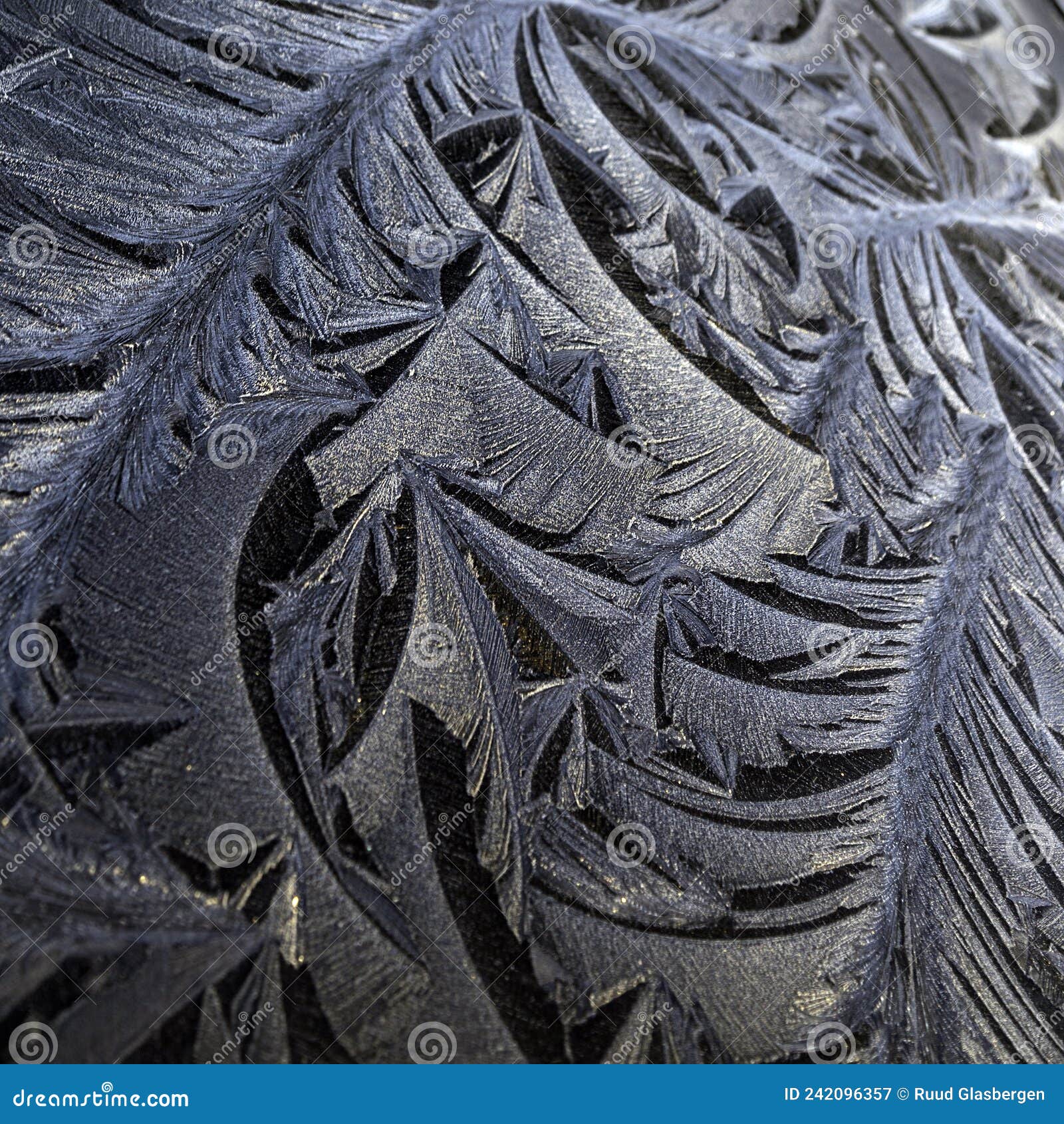 During Periods of Frost in Winter, Smooth Surfaces Can Become Covered ...