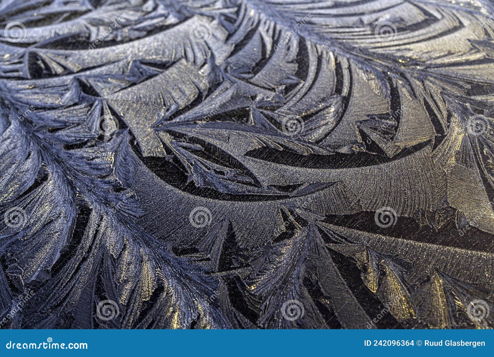 During Periods of Frost in Winter, Smooth Surfaces Can Become Covered ...