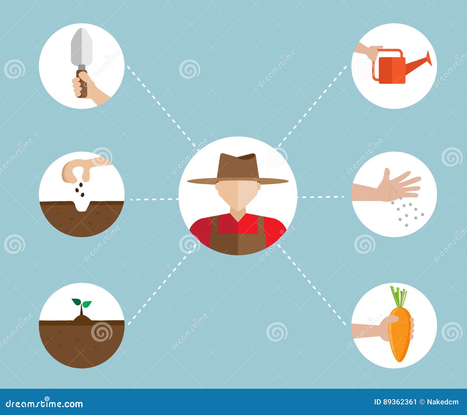Infographic of Agriculture Flat Design for Plant Timeline Stock Vector ...