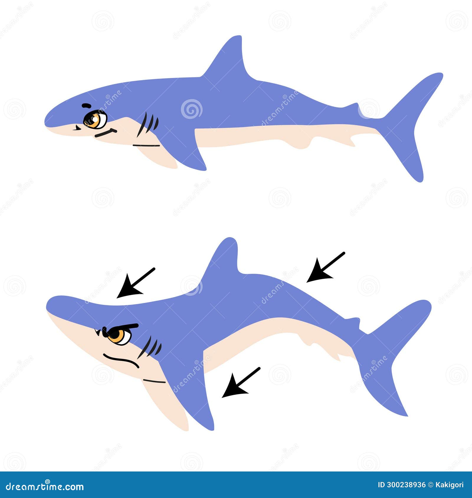 Infographic of Attack Blue Shark Vector Illustration Stock Vector ...