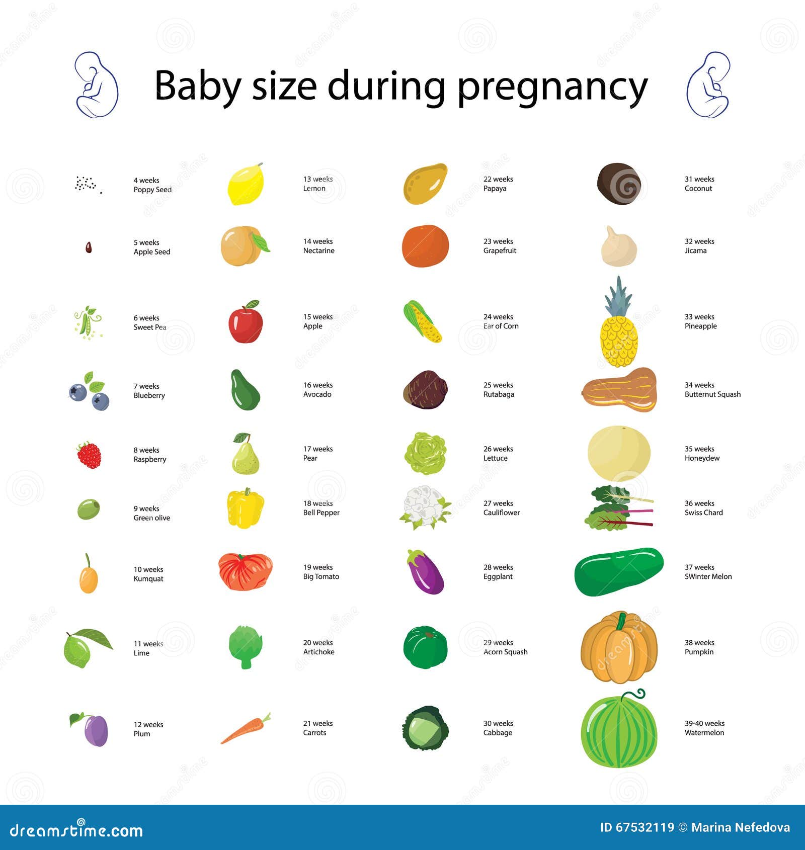 Infographic Au Sujet De Taille De Bébé Pendant La Grossesse Rivalisant ...