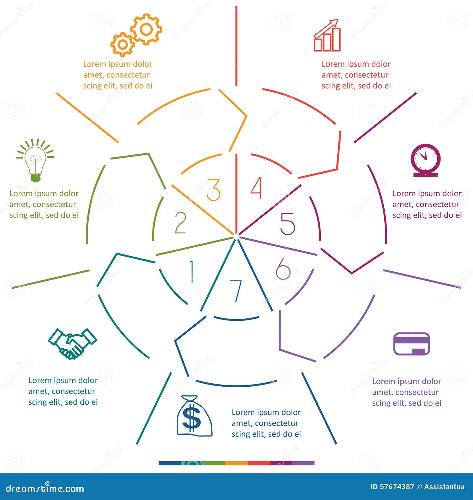 Infographic Circle Colourful Lines Seven Positions Stock Vector ...