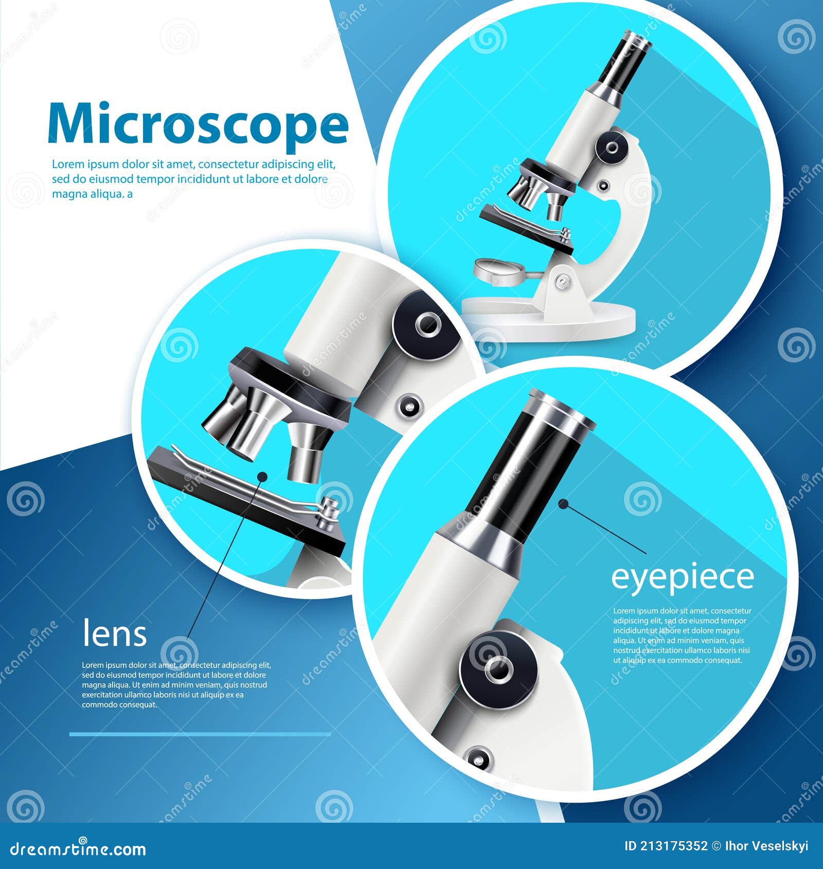 Infographic Colored Microscope Stock Illustration - Illustration of ...