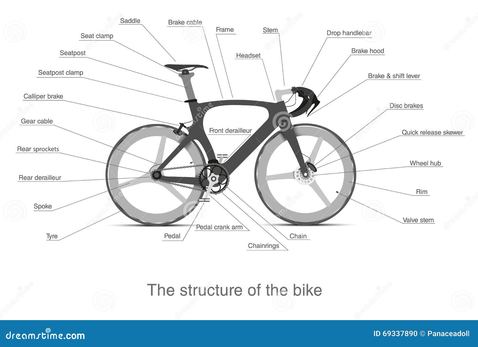 Infographic Da Estrutura Da Bicicleta Ilustração do Vetor - Ilustração ...