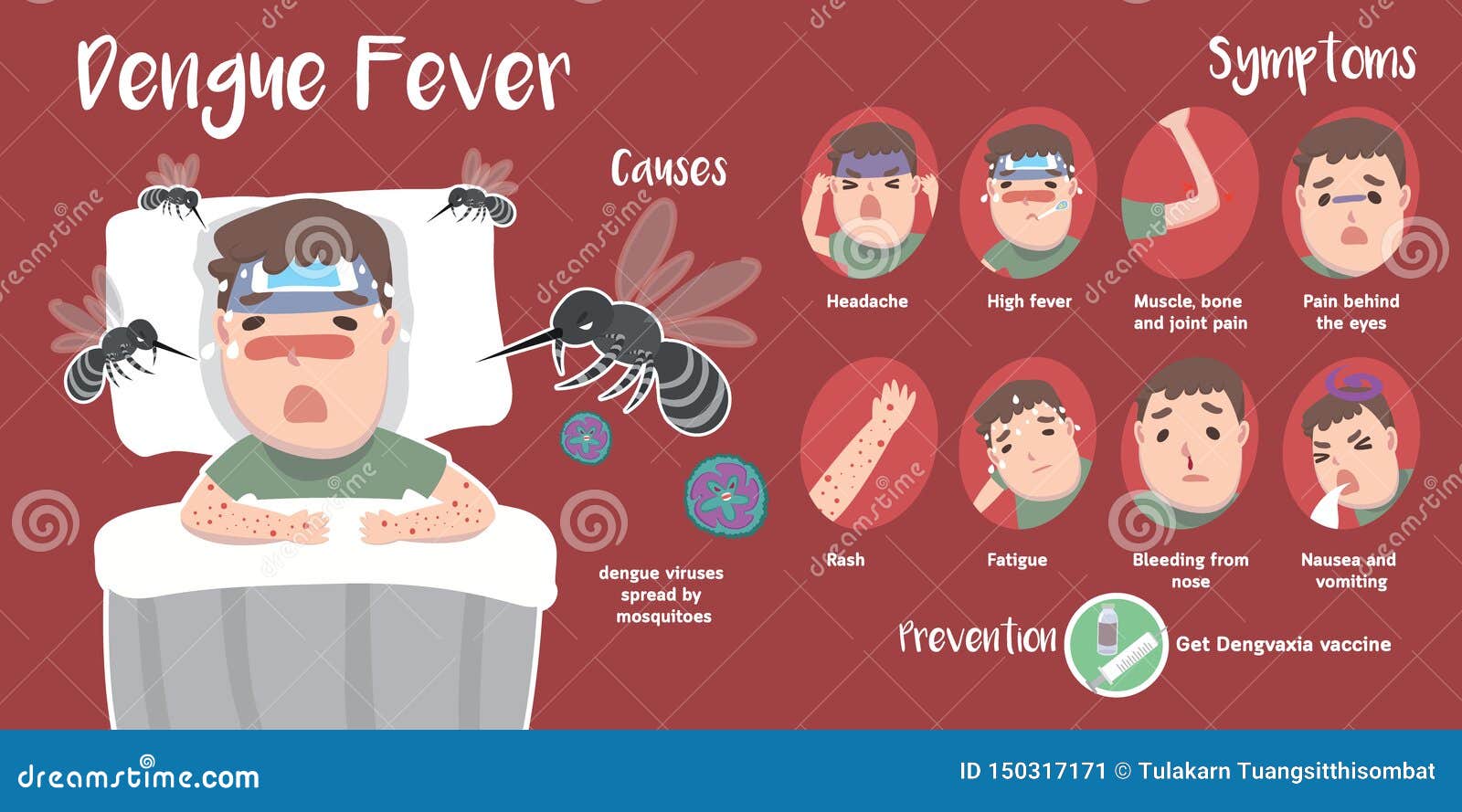 Infographic Da Febre De Dengue Ilustração do Vetor - Ilustração de jogo ...