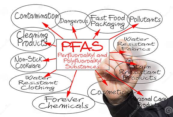 Infographic About Dangerous Pfas Perfluoroalkyl And Polyfluoroalkyl