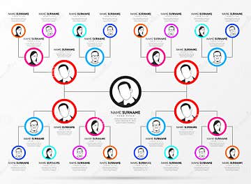 Infographic Design Template. Creative Organization Chart. Vector Stock ...