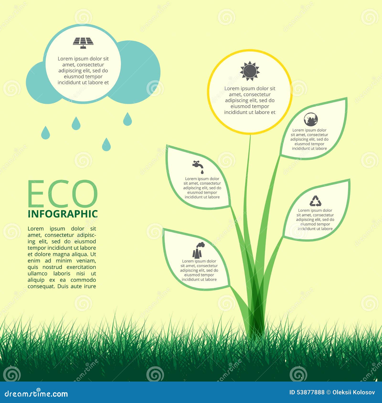 Infographic Of Plant Growth Stages. Botany Vector Illustration ...