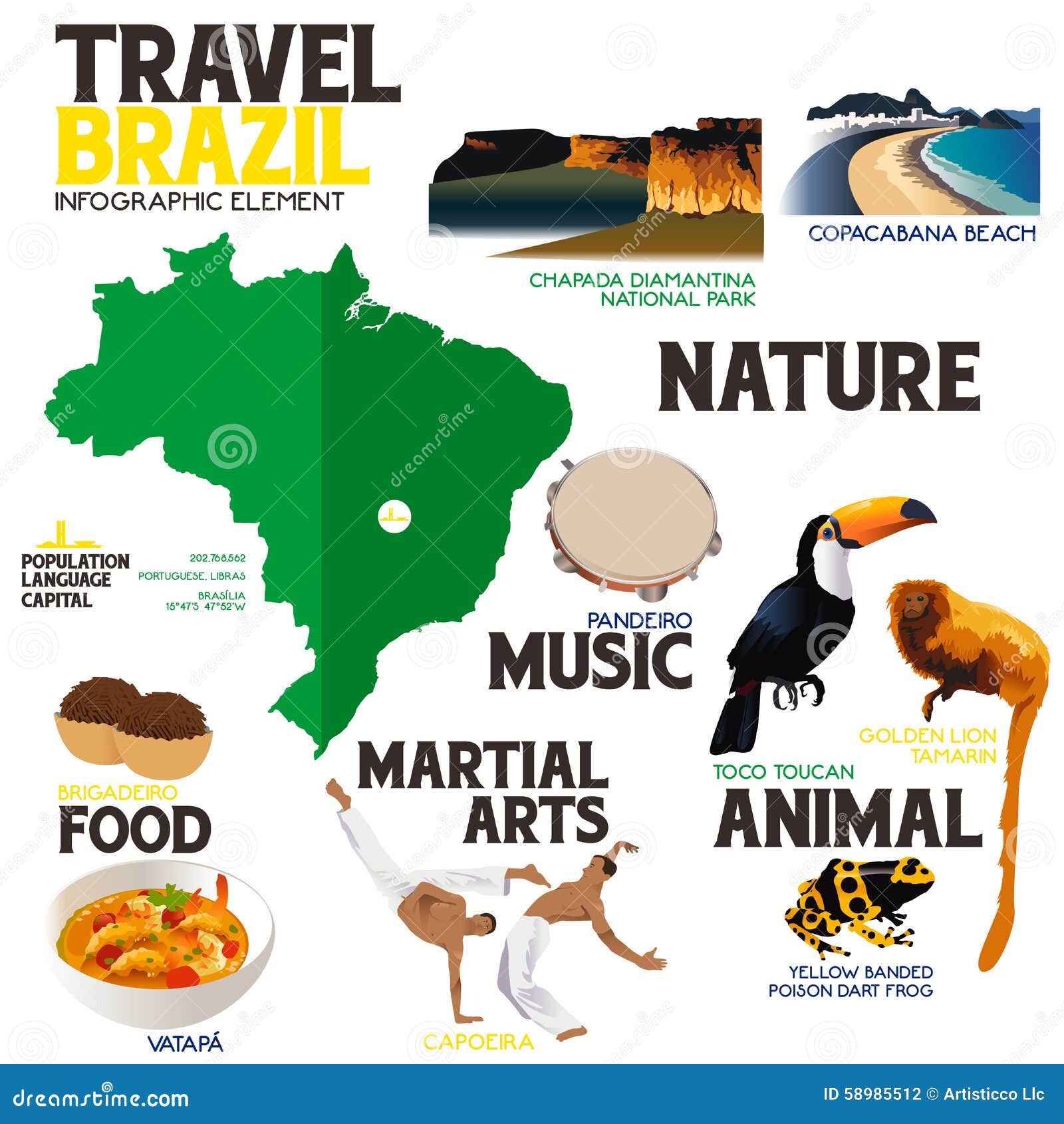 Infographic Elements for Traveling To Brazil Stock Vector ...