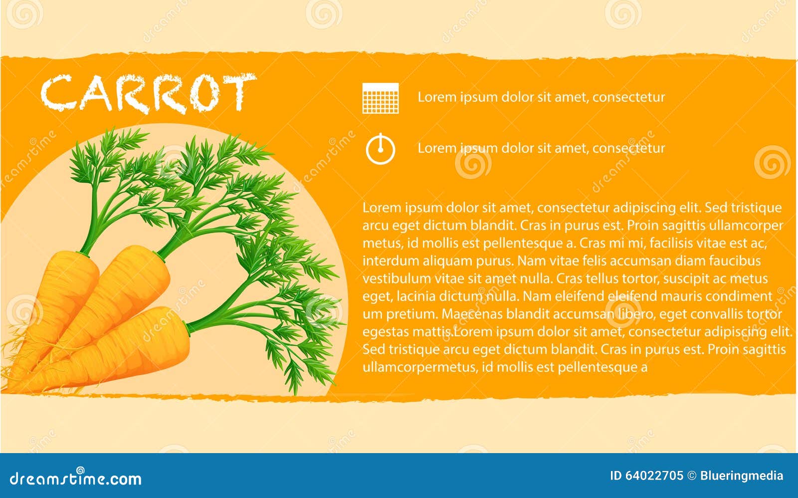 Infographic with Fresh Carrots Stock Vector - Illustration of vitamin ...