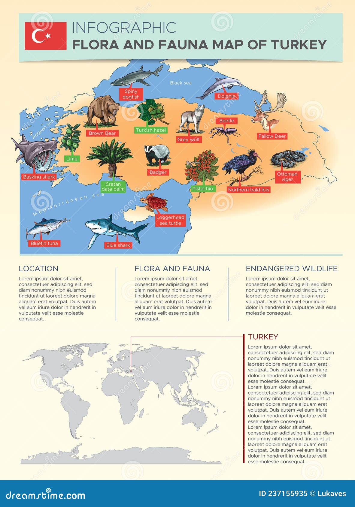 Biome Pyramid As Ecological Weather Or Climate Classification Outline ... Biome Pyramid As Ecological Weather Or Climate Classification Outline ...