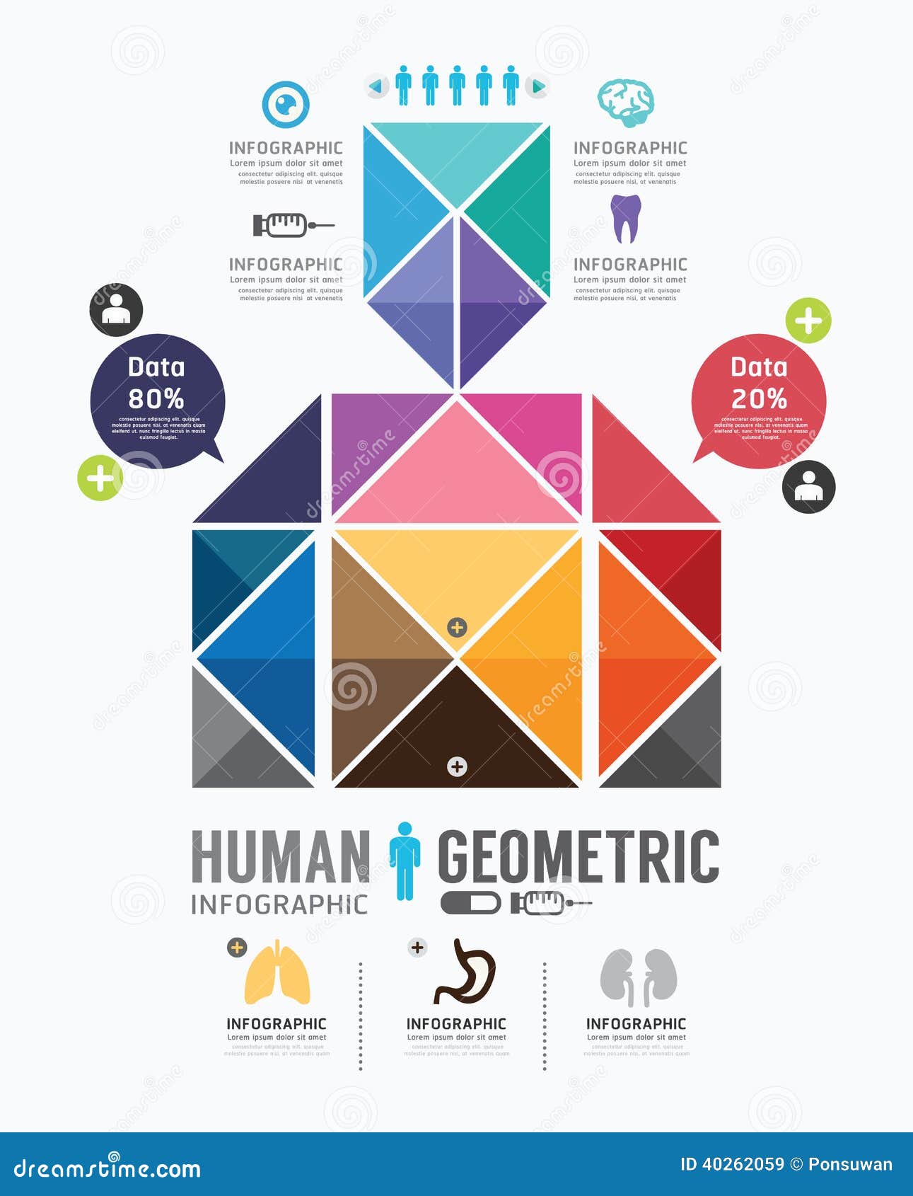Infographic Human Geometric Design Template. Concept.vector. Stock ...