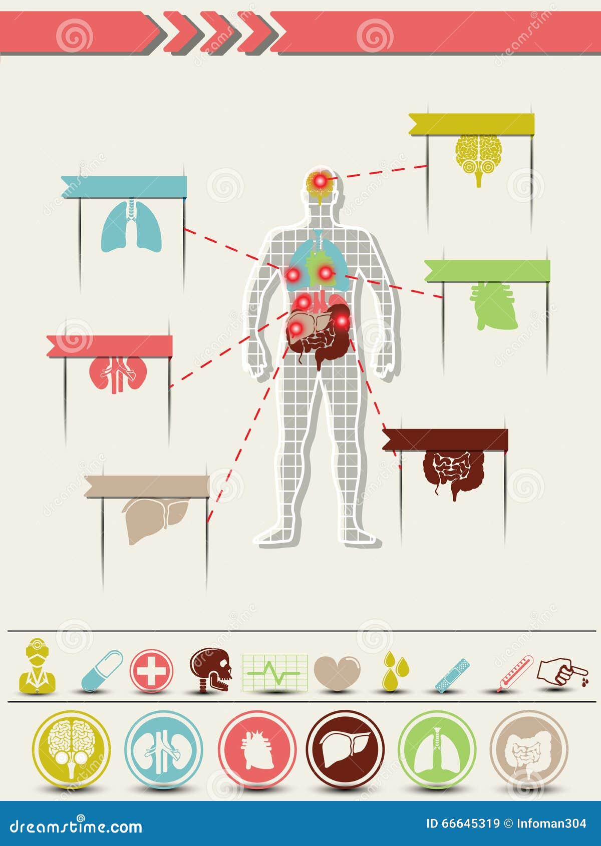 Infographic Medicine Elements Chart and Graphic Stock Vector ...