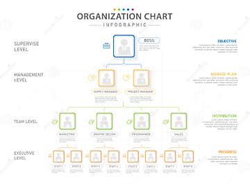 Infographic Modern Organization Chart with Position. Stock Vector ...