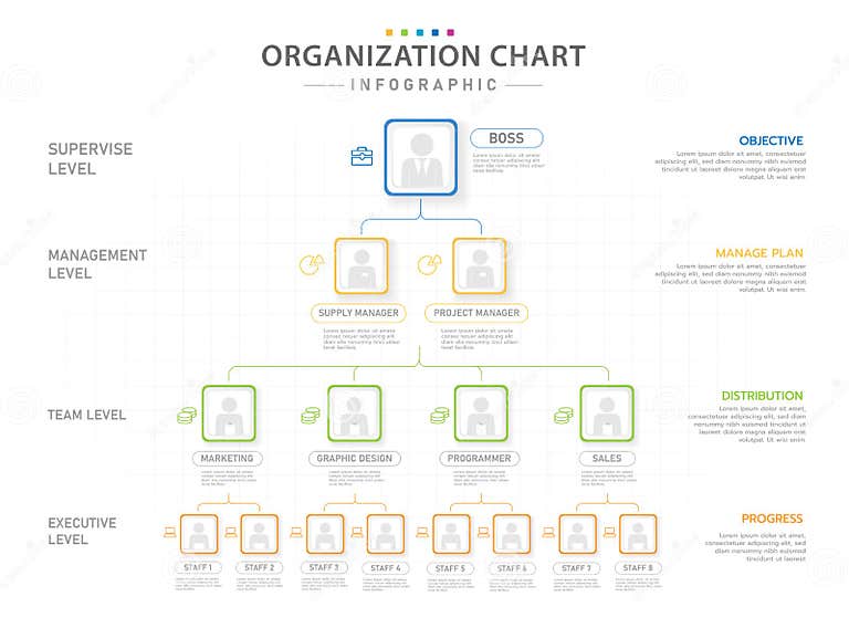 Infographic Modern Organization Chart with Position. Stock Vector ...